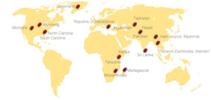 Understanding Ruby Value in Dec 2023 | Don't get ripped off